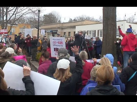 Mount Kisco Demonstration - YouTube