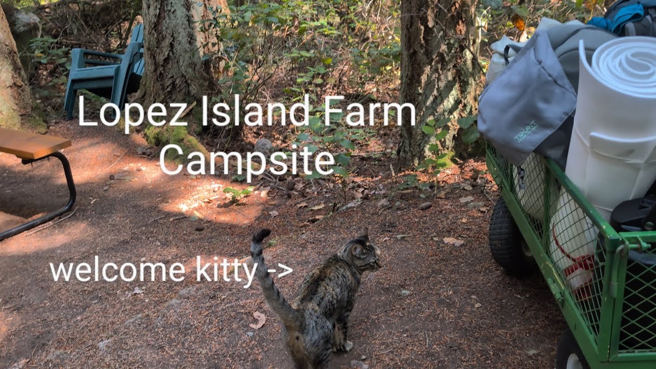 Cat host at Lopez Farm Cottages - YouTube