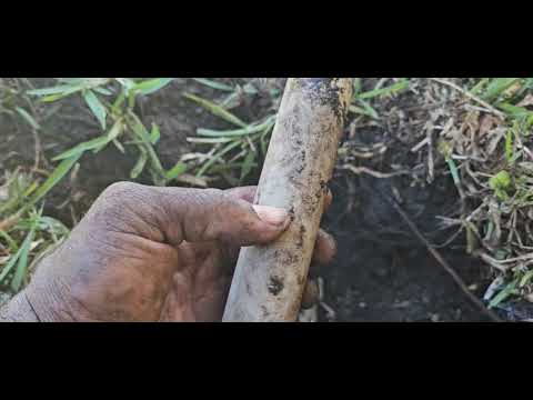 how to fix a broken sprinkler pipe - YouTube