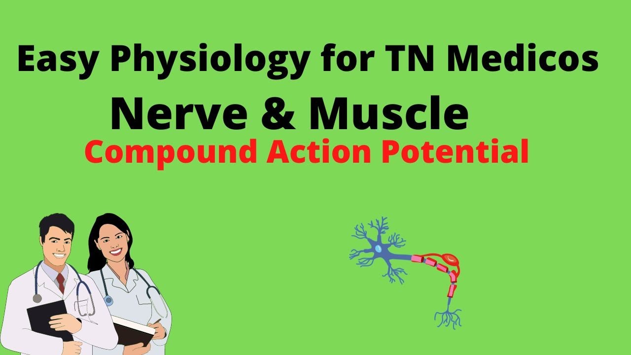Compound Action Potential - YouTube