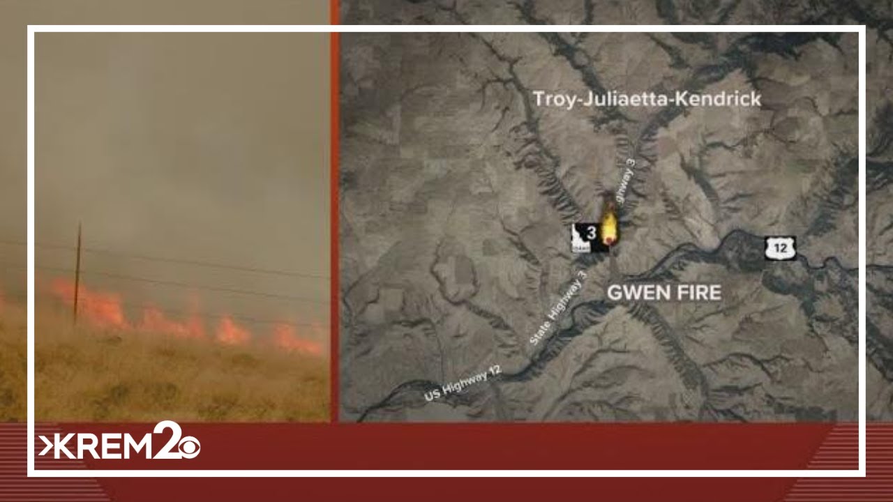 Gwen Fire Update: Tuesday, July 30, 2024 - YouTube