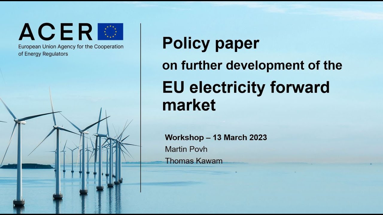 ACER workshop on the further development of the EU electricity forward ...
