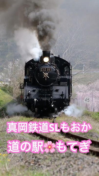 4Kshorts「SLもおか」2024🌸道の駅もてぎ通過！ [Moka railway] Steam locomotive class C12 'SL Moka' in spring 2024 ...