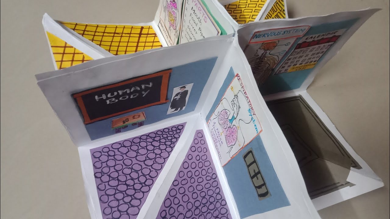 Human Body organ systems in one pop up card... #EVStlm # ...