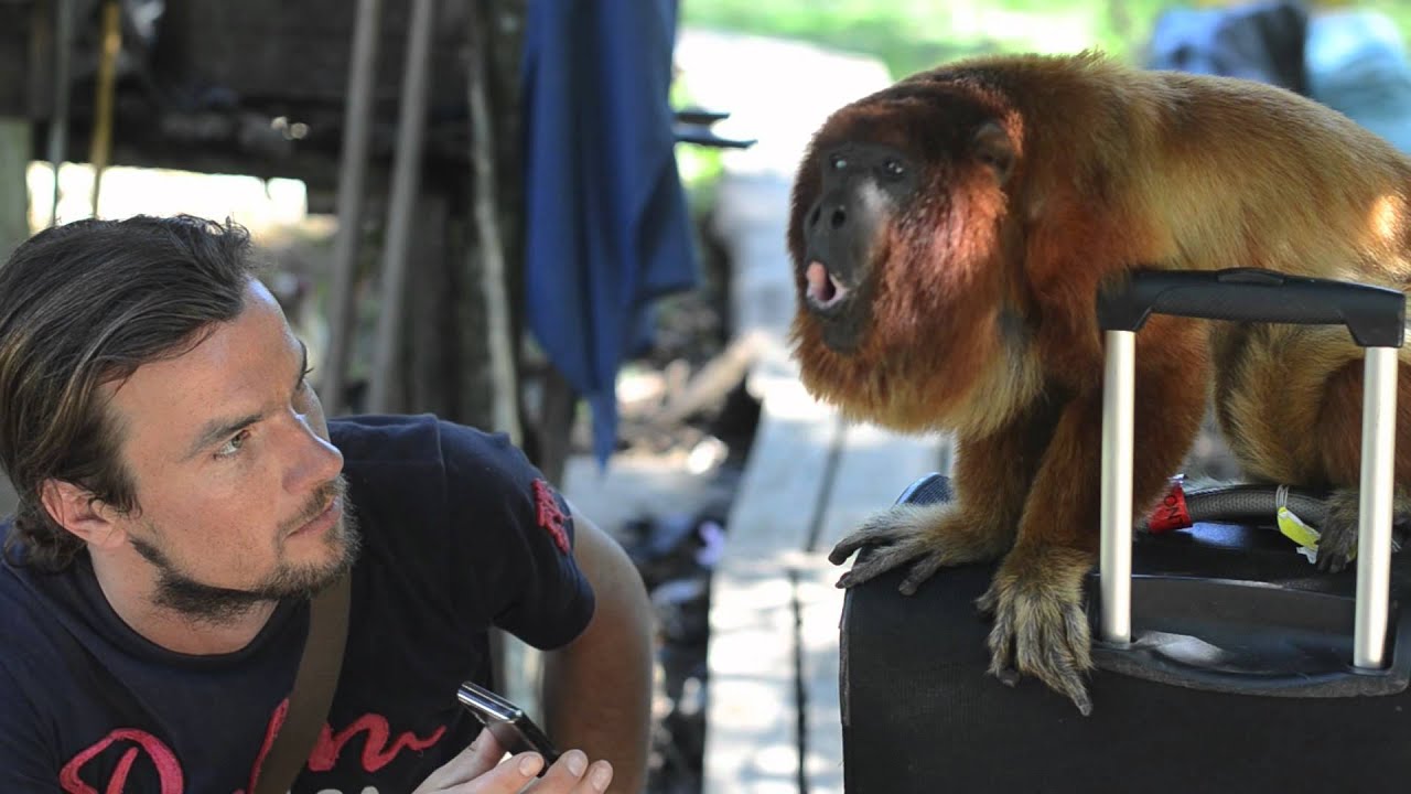 Pepe the Howler Monkey.mov - YouTube