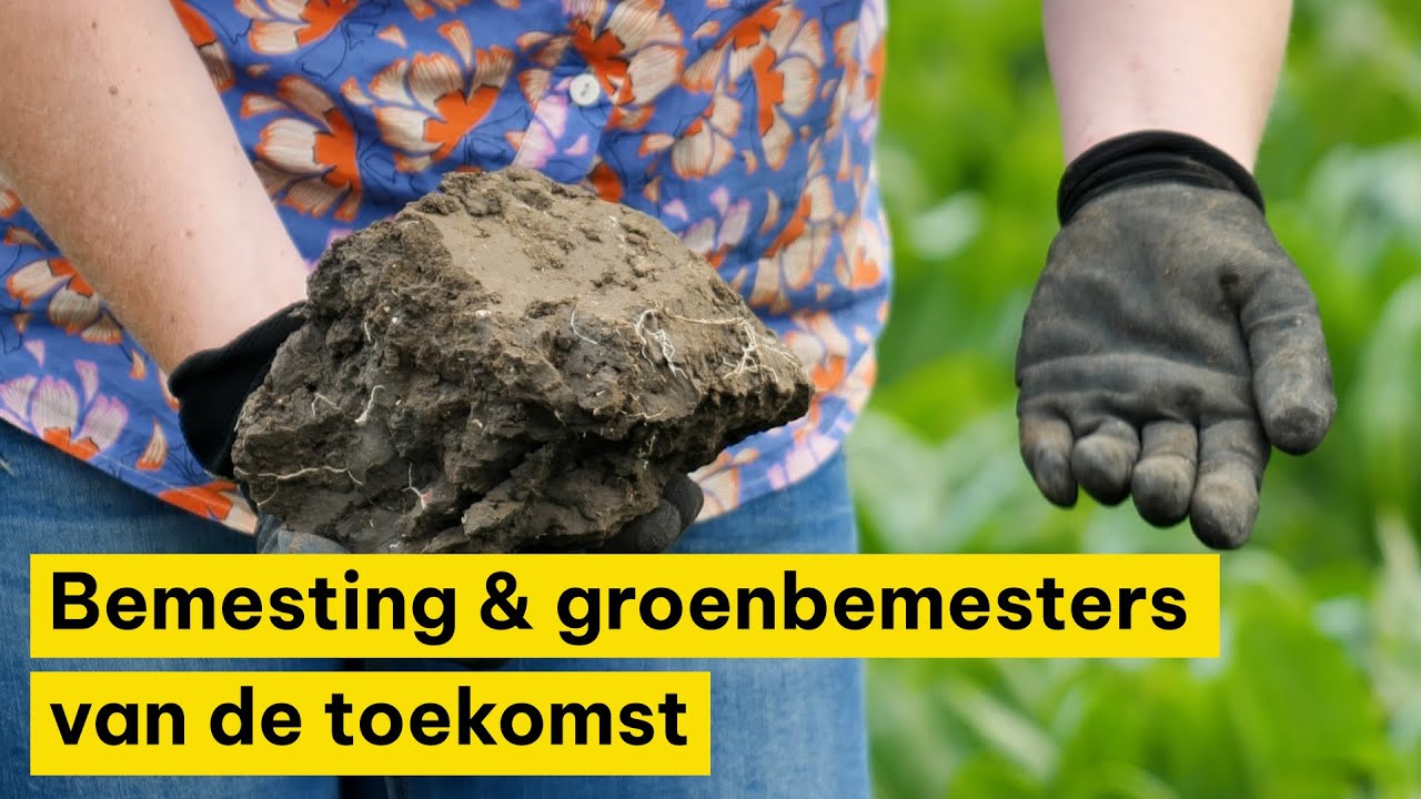 Bemesting Van Erwtenplanten