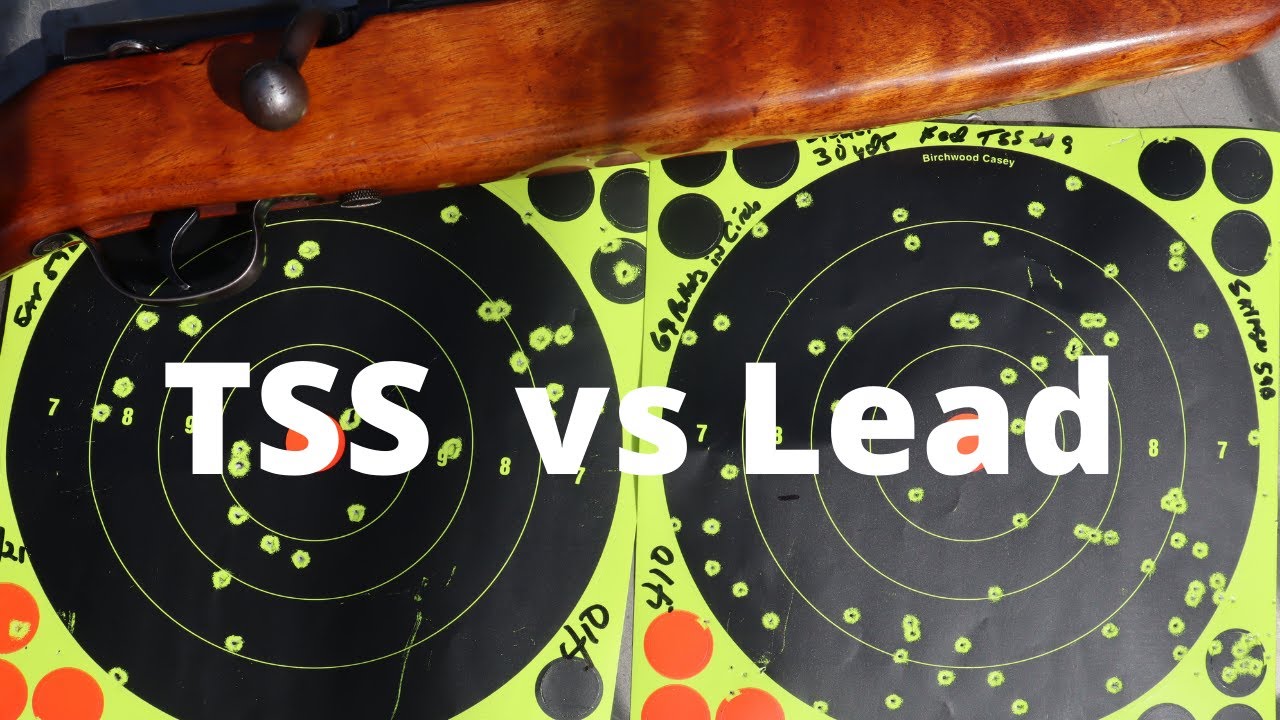 TSS vs Lead Range Test 410 Shotgun - TSS good for Small Game ??? - YouTube