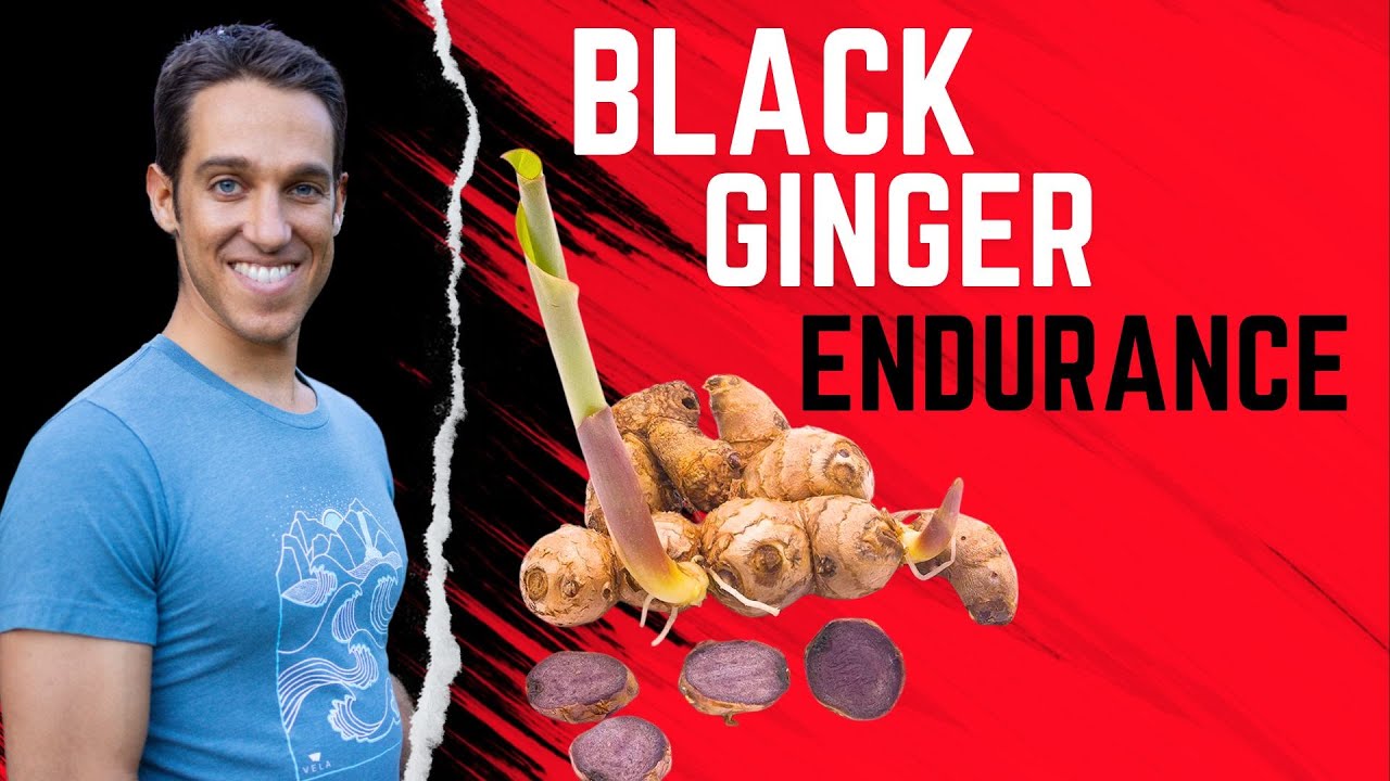 Research on Thai Black Ginger Endurance Benefits - YouTube