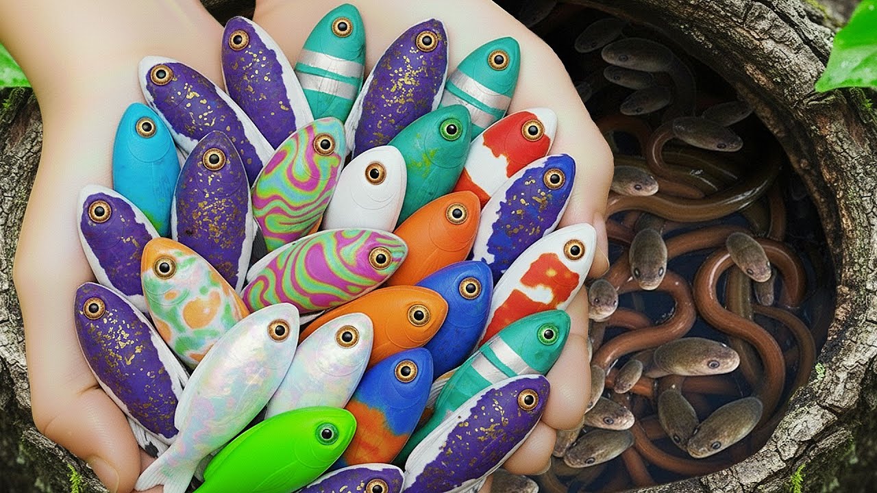 Catch Awesome Aquarium Fish In Giant Colorful Eggs, Baby Turtles ...