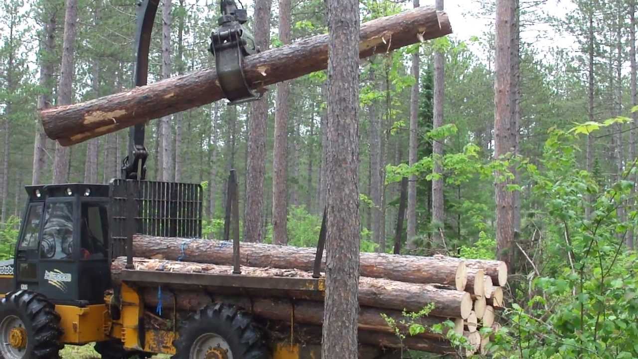 Rotobec Forwarder Loading 16 Foot Sawlogs - YouTube