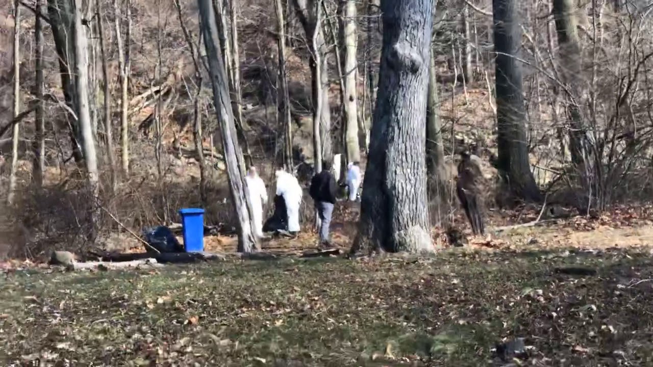 Homeless man in a tent in the woods - YouTube