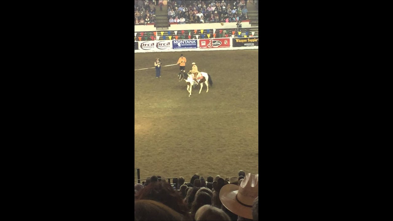 North American Championship Rodeo: Trick Riding - Shoulder Stand - YouTube