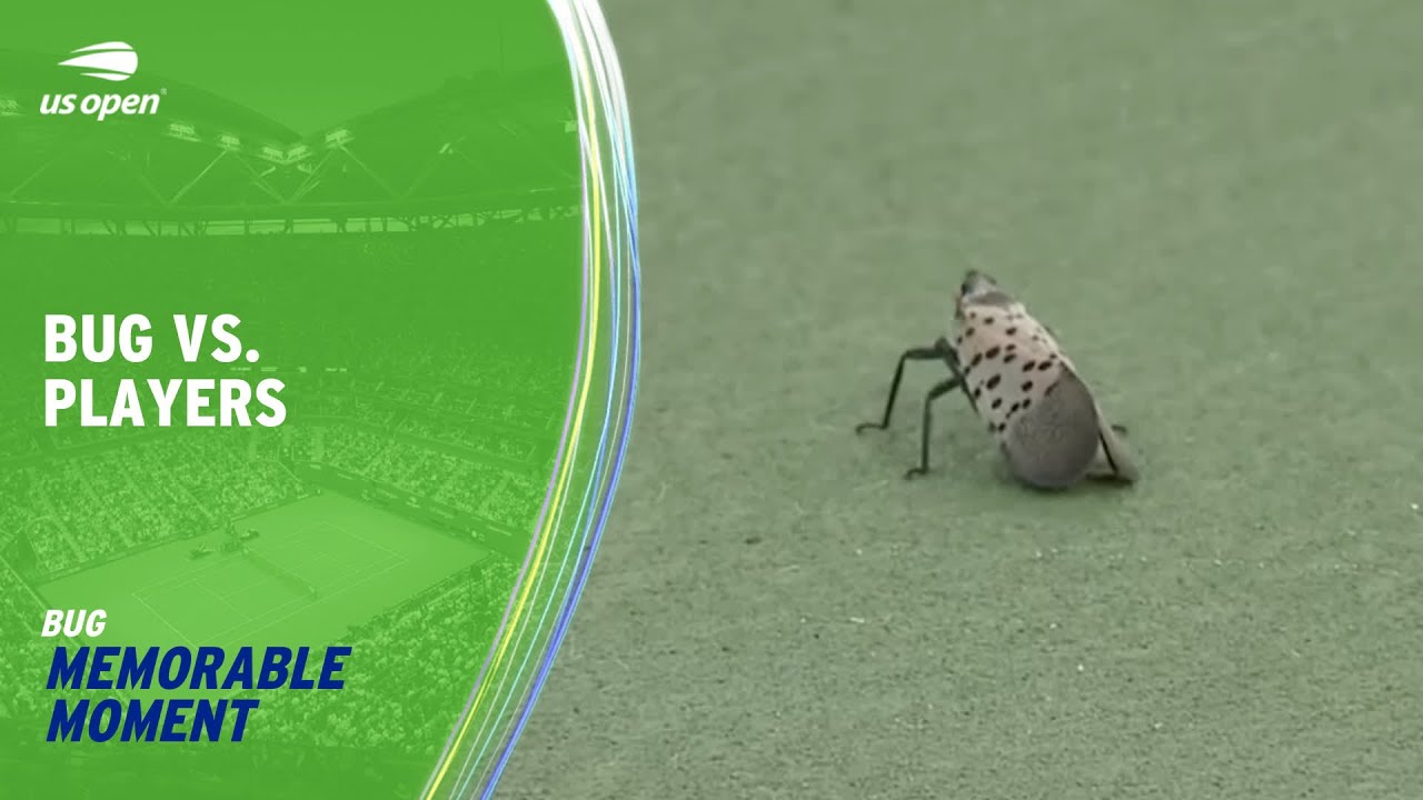 Bug vs. Players | 2023 US Open - YouTube