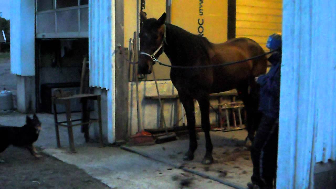 Charis Angel - YouTube