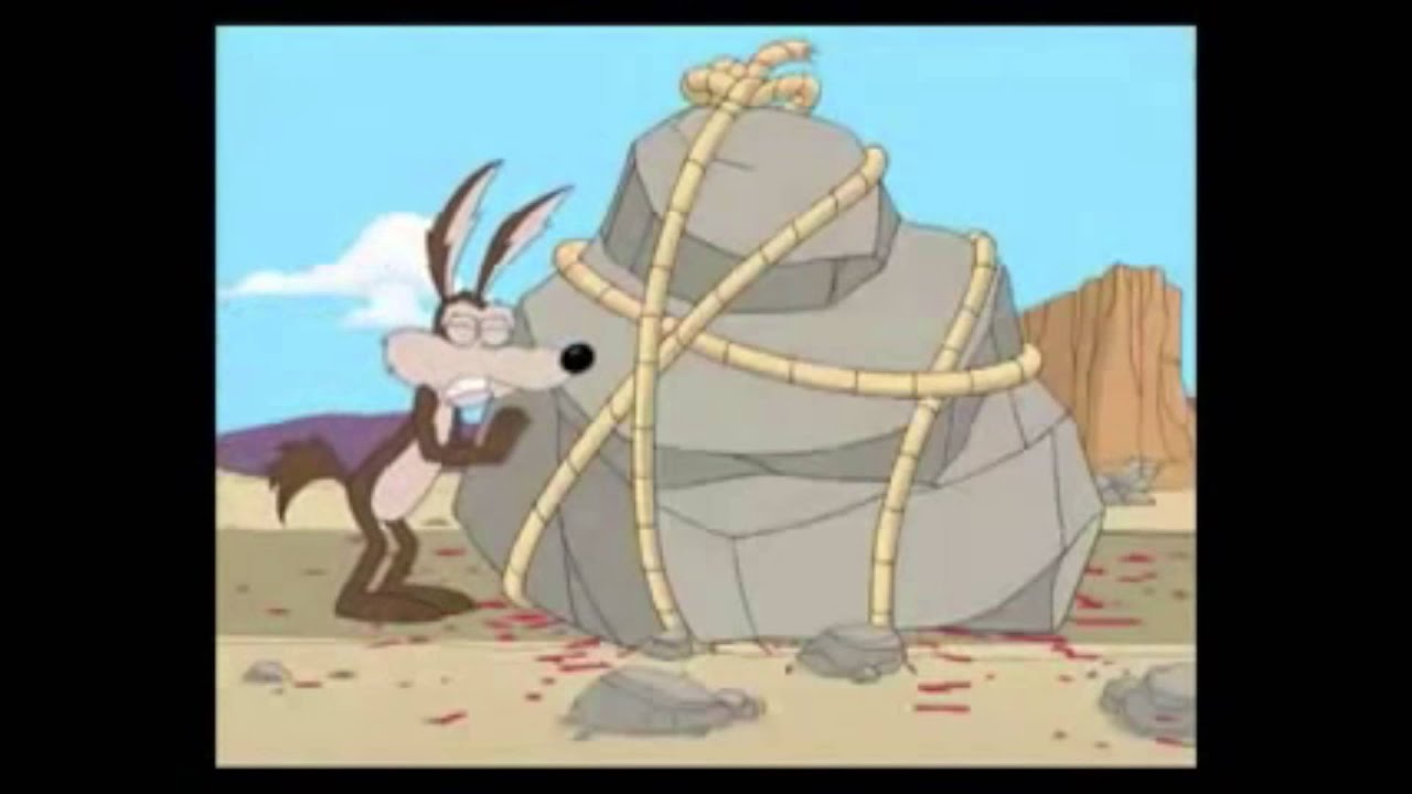 Roadrunner Finally Gets Caught its Sick!!! - YouTube