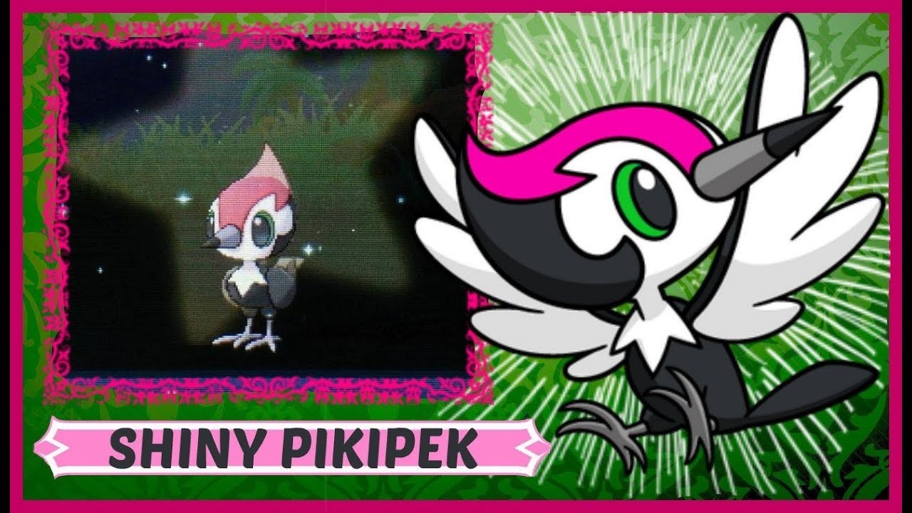Live Shiny Pikipek [Full Odds], 1348 REs, Pokemon Sun, Alola Quest #4 ...