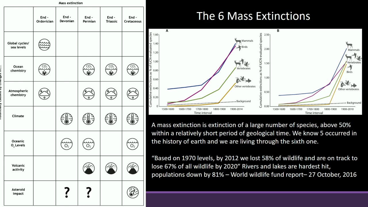 28) Six mass extinctions - Biology today - YouTube