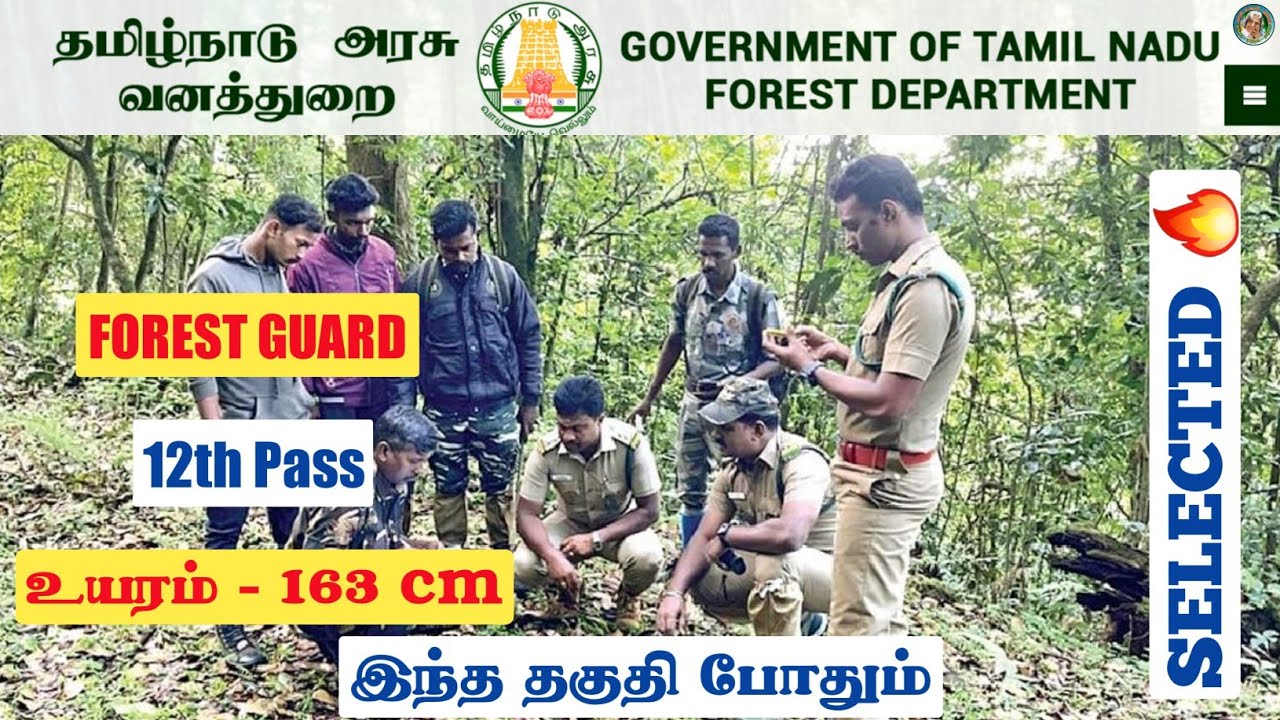TN_FOREST Exam 2023 || 12th Qualification A to Z Information || Forest ...