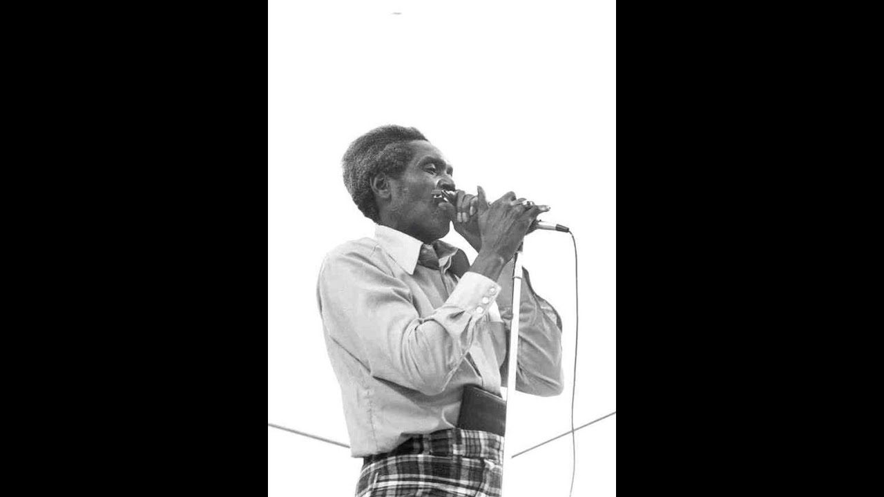 Big Walter "Shakey" Horton - Two Old Maids (Live) - YouTube