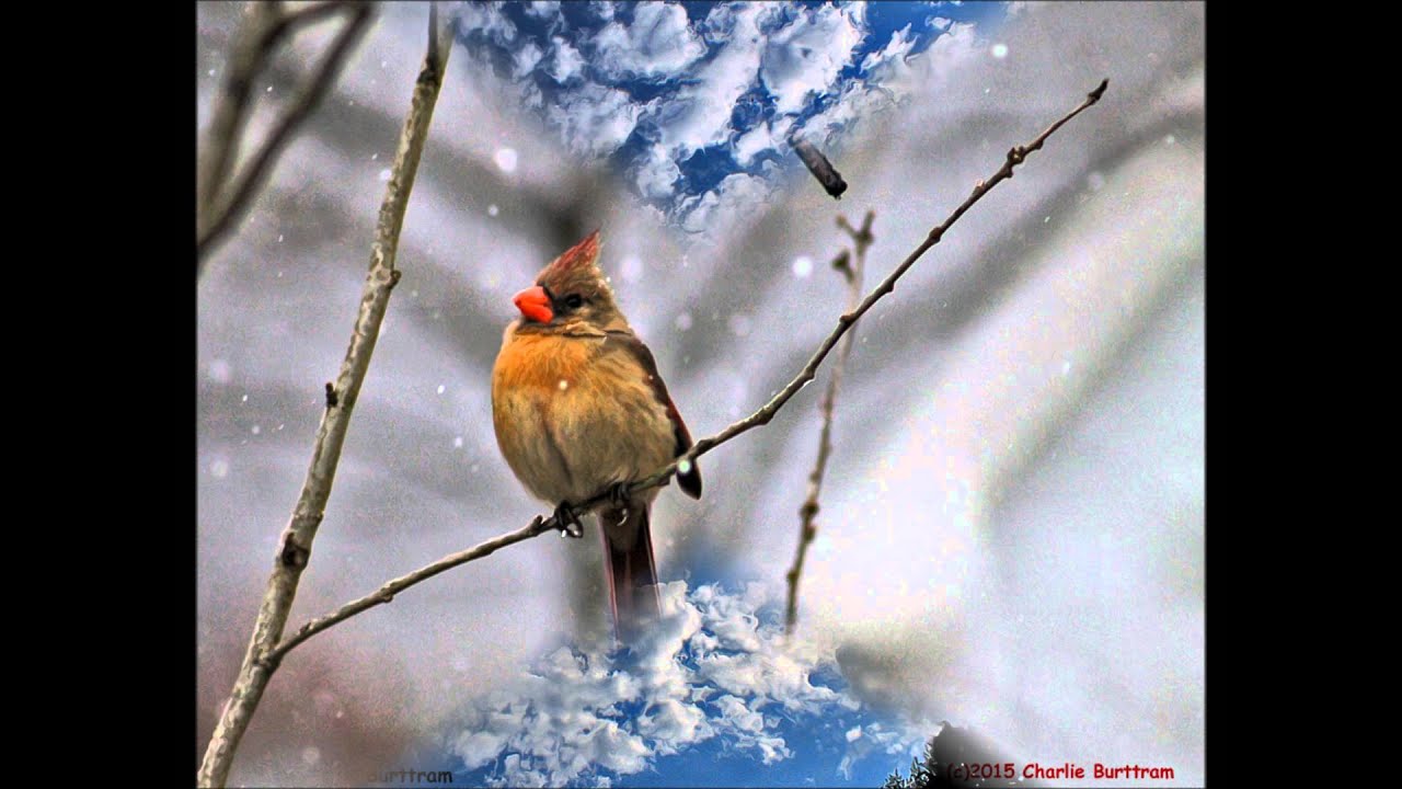 Linda Ronstadt - "Faithless Love" - YouTube