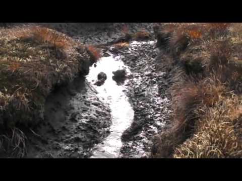 Peat Gullies - shallow but wide - and capillary type complex pattern ...