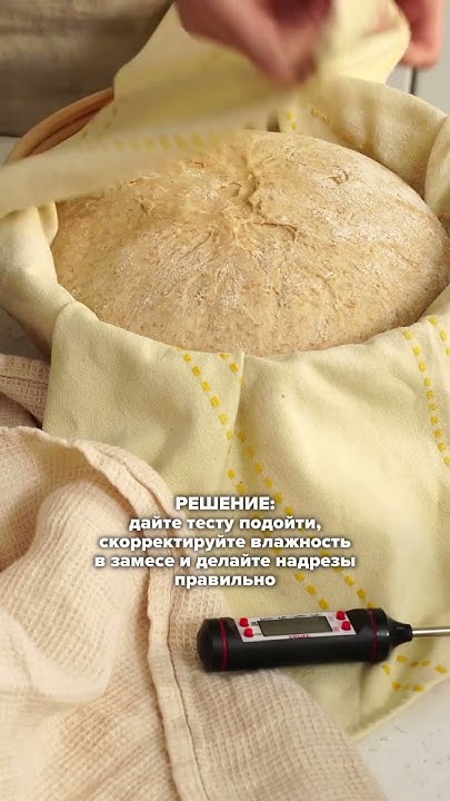 🌾Хотите научиться печь вкусный хлеб на закваске 👇 Youtube