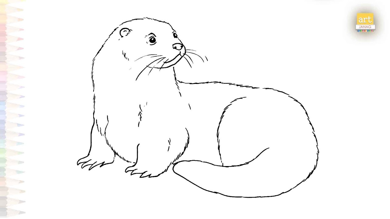 Common Otter drawing easy | Outline drawings | How to draw an Otter ...