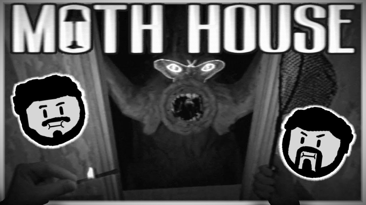 Moth House - Just Your Pot of Moths! - YouTube