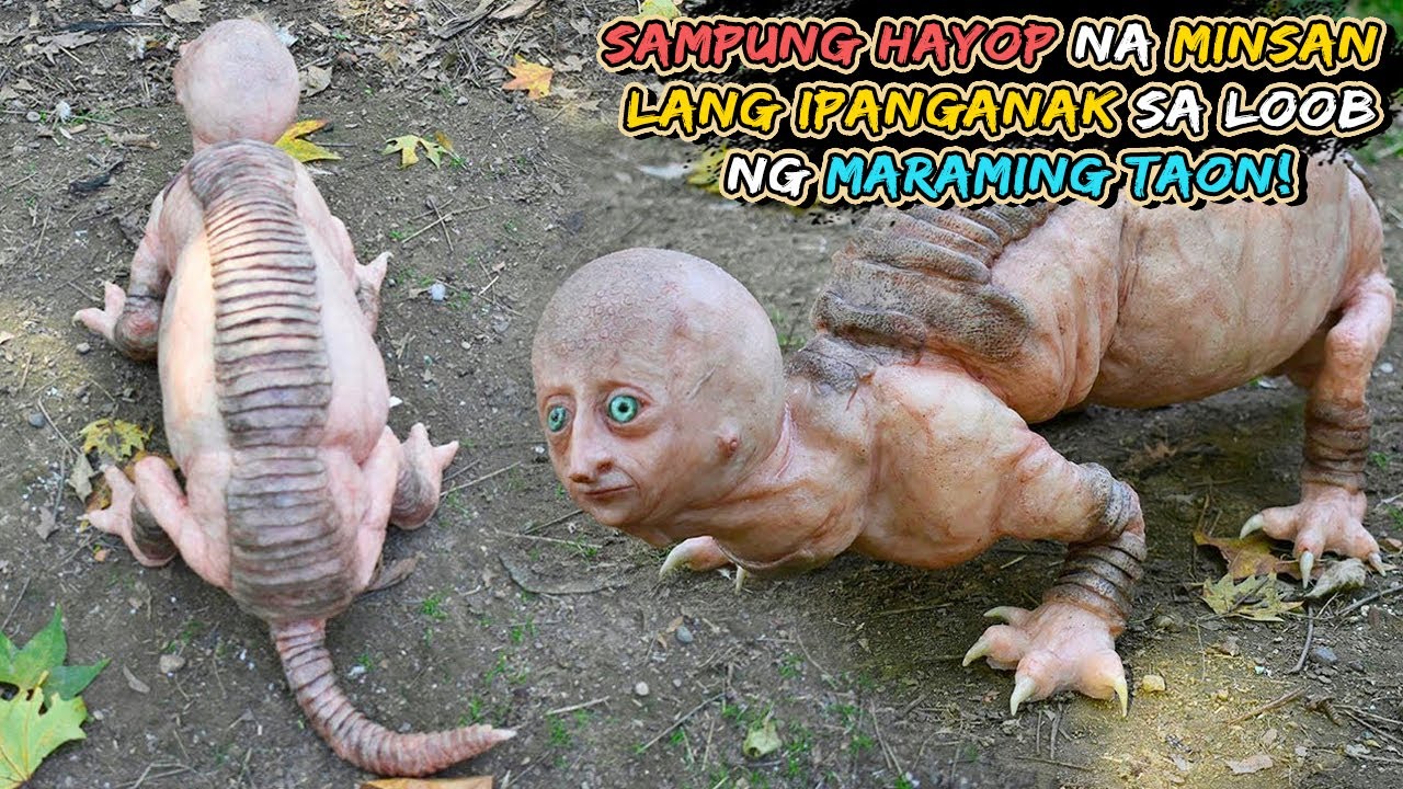 Sampung Hayop na Minsan lang Ipanganak sa Loob ng Maraming Taon | 10 ...