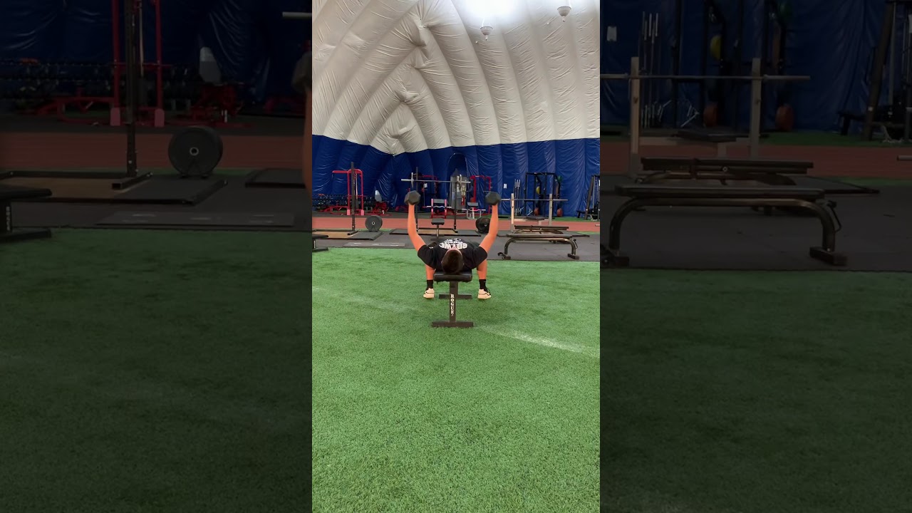 Dumbbell Flat Bench Fly - YouTube