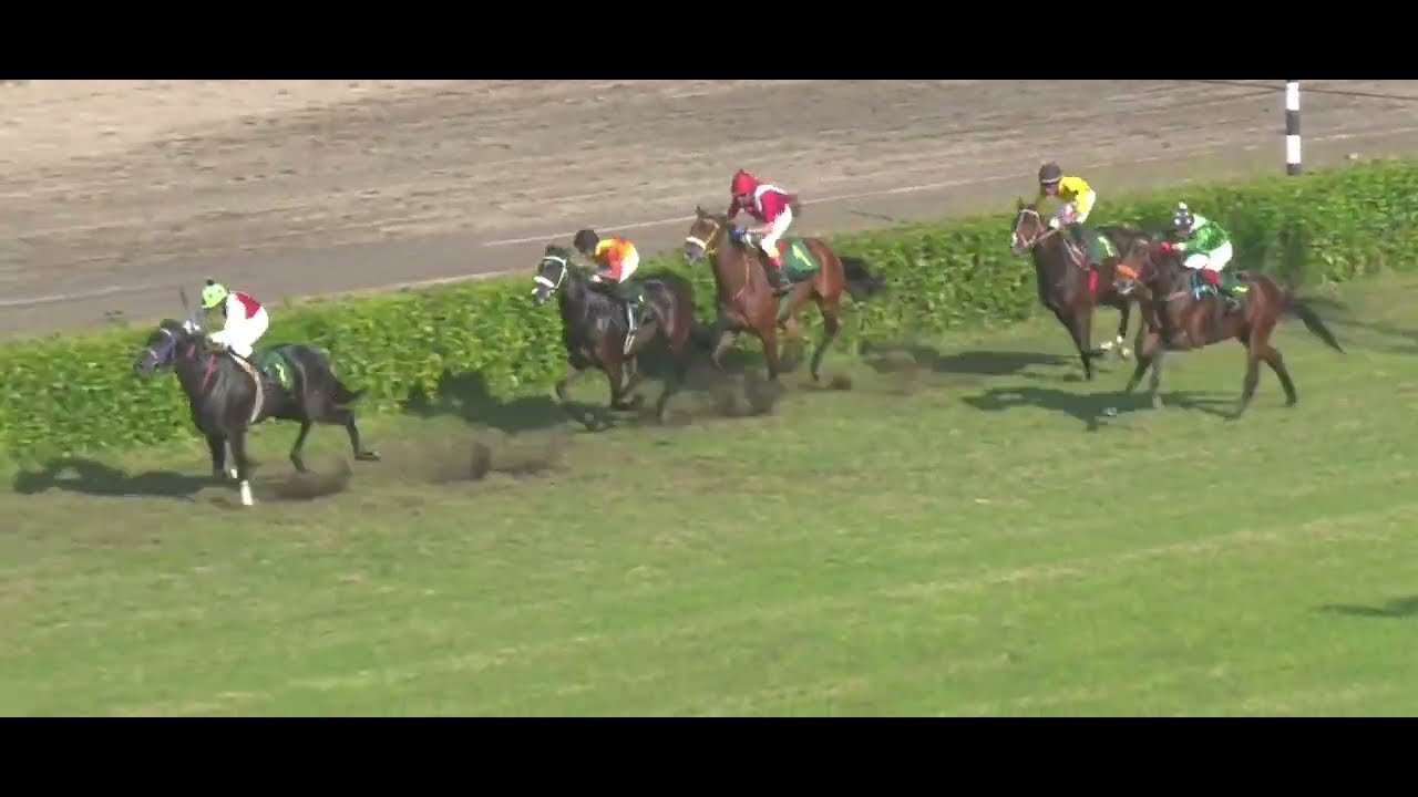 4th Race 1200 Meter November Cup Winner Last Emperor Ridden By Abdullah ...