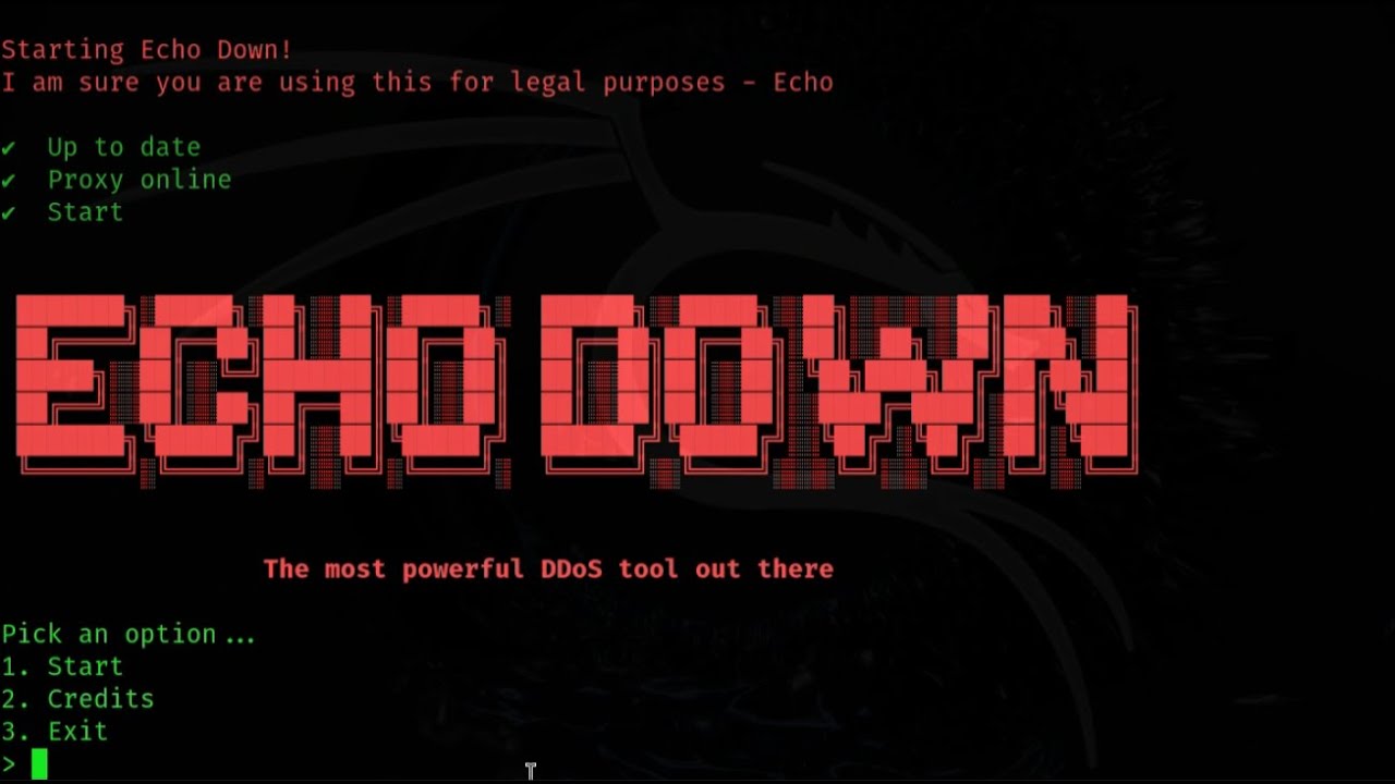 Echo Down Fake Tool to Practice DDoS Attack - YouTube