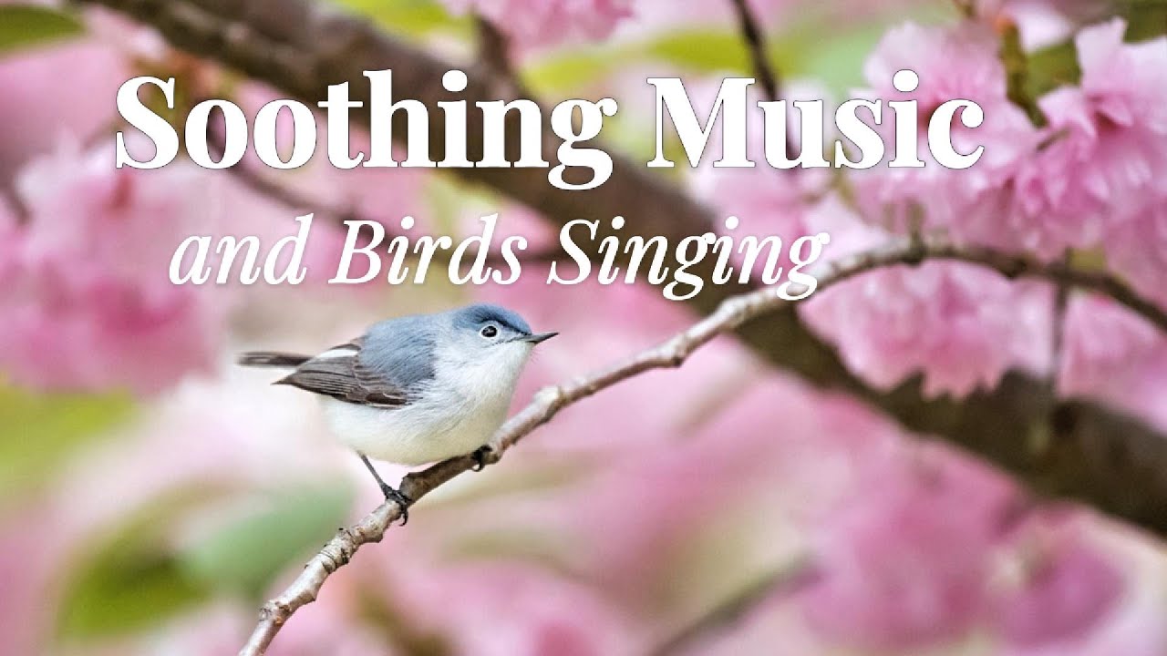 🌿Beautiful Soothing Relaxing Music and Birds Singing | Nervous, Anxiety ...