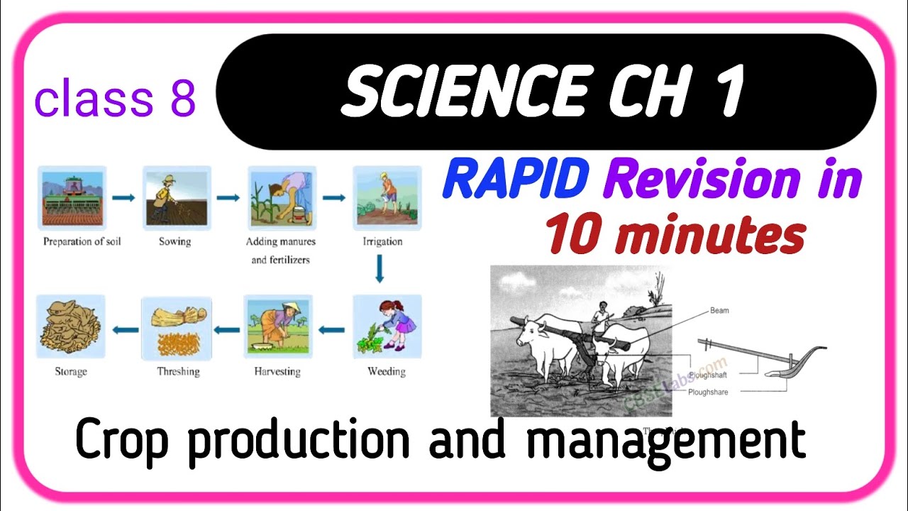 class 8 sci ch 1| class 8 science ch 1| crop production and management ...