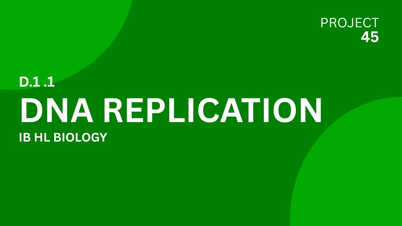 D1.1 DNA Replication (IB SL/HL Biology 2025) - YouTube