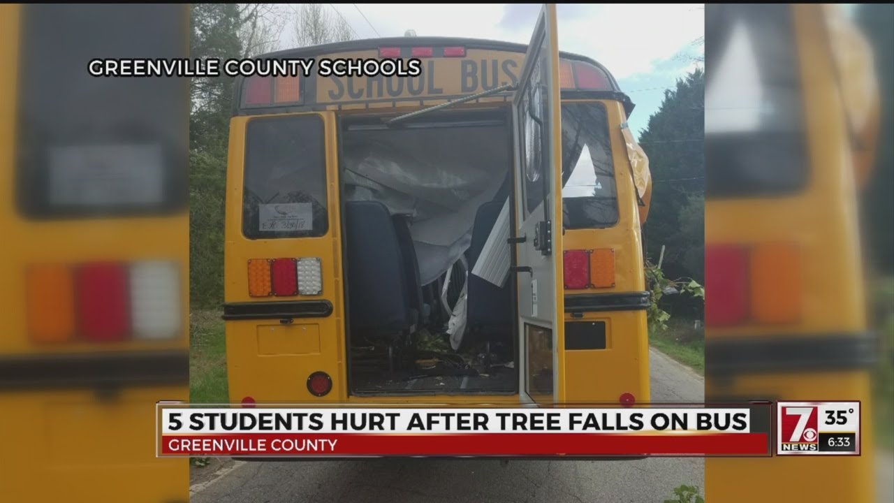 Students hurt after tree falls on bus - YouTube
