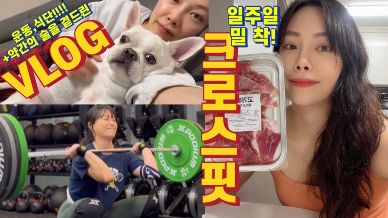 크로스핏 취미가 과한 크로스핏터의 일주일 브이로그 크로스핏 식단 반려견 운동영상 브이로그 Youtube