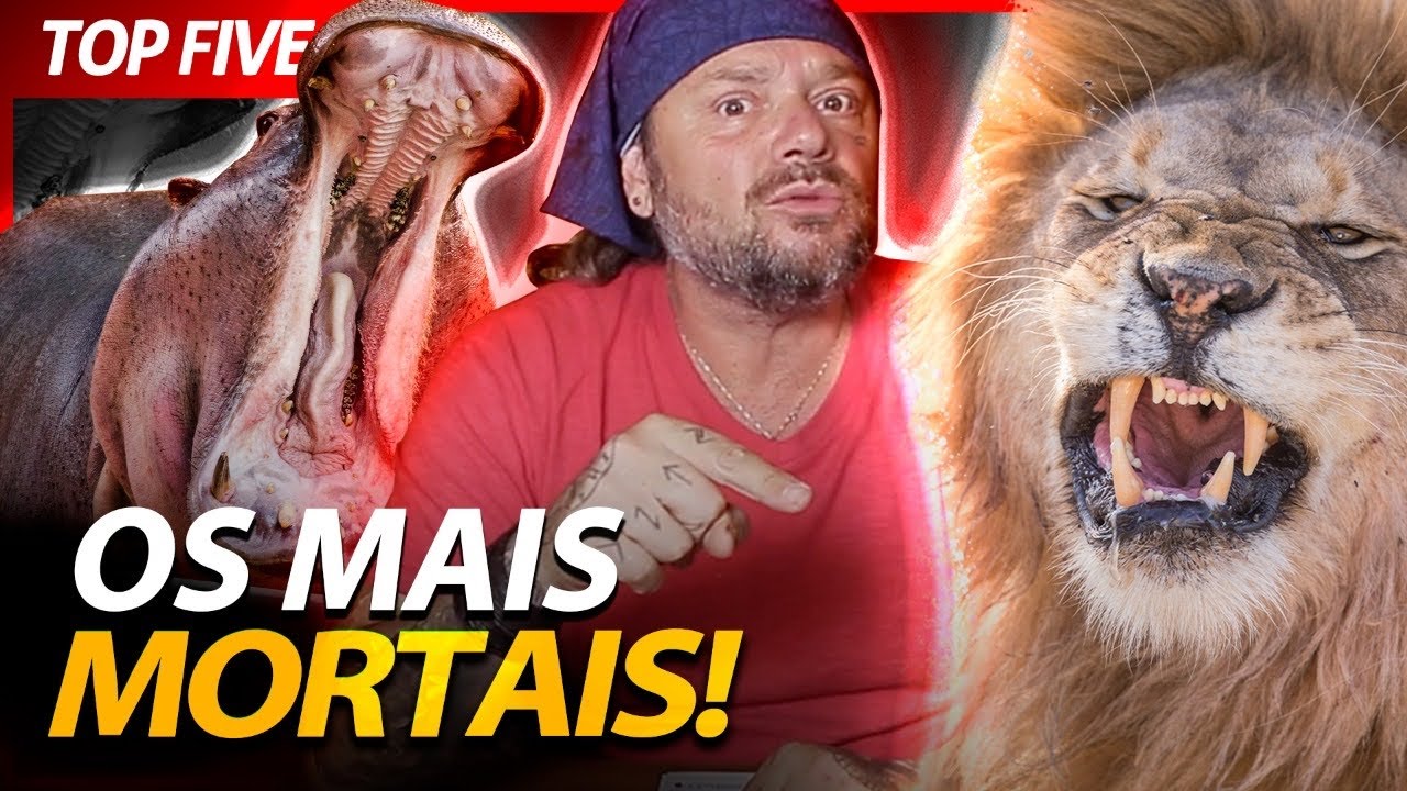 OS MAIORES ATAQUES DE ANIMAIS AO SER HUMANO! | RICHARD RASMUSSEN - YouTube