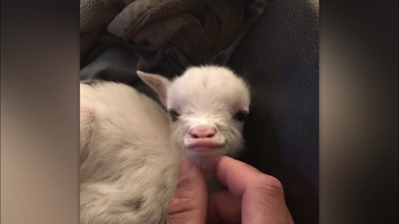 Kidd Luui - Reasons (Official Audio) - YouTube