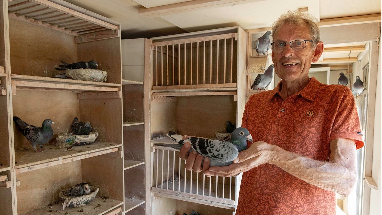 NPO Champions 2024: 1. Ace Marathon NPO - Jan Polder, Middelharnis ...