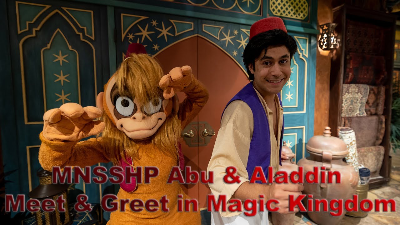 8K MNSSHP Abu & Aladdin Meet & Greet in Magic Kingdom VR180 3D - YouTube