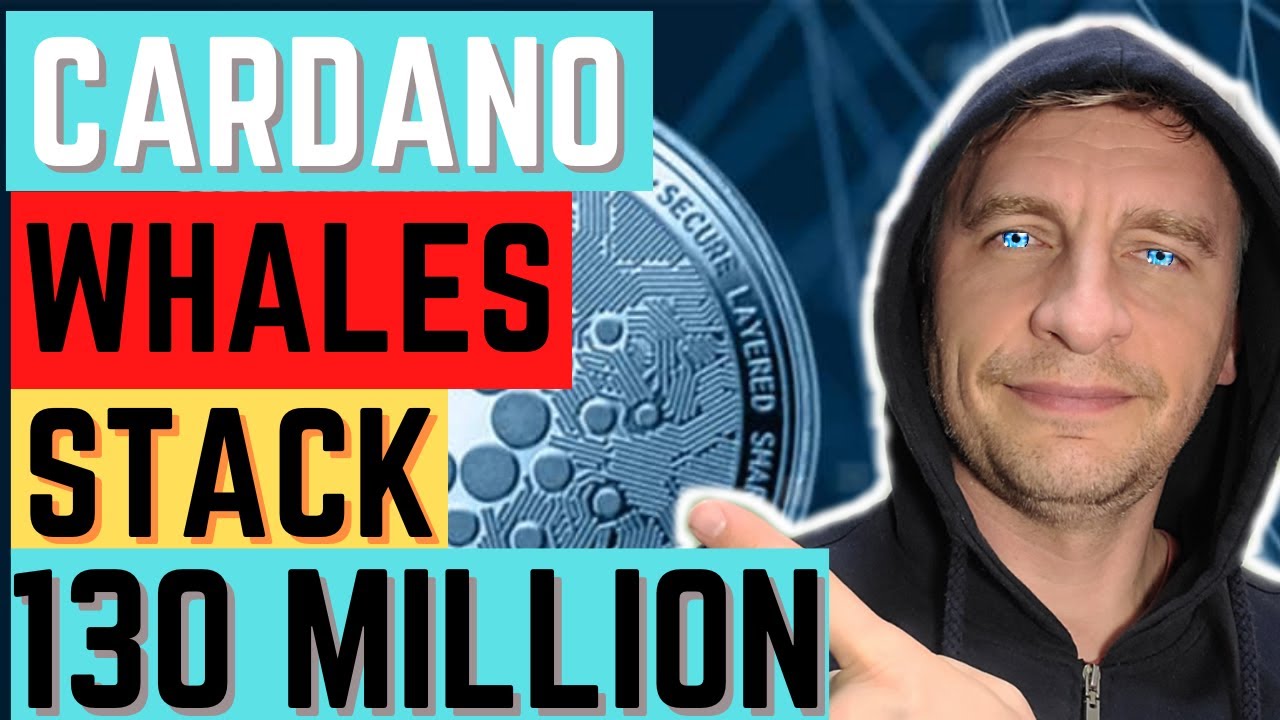 130 Million Cardano Whale Buy #thecryptofather #cardano #ada - YouTube