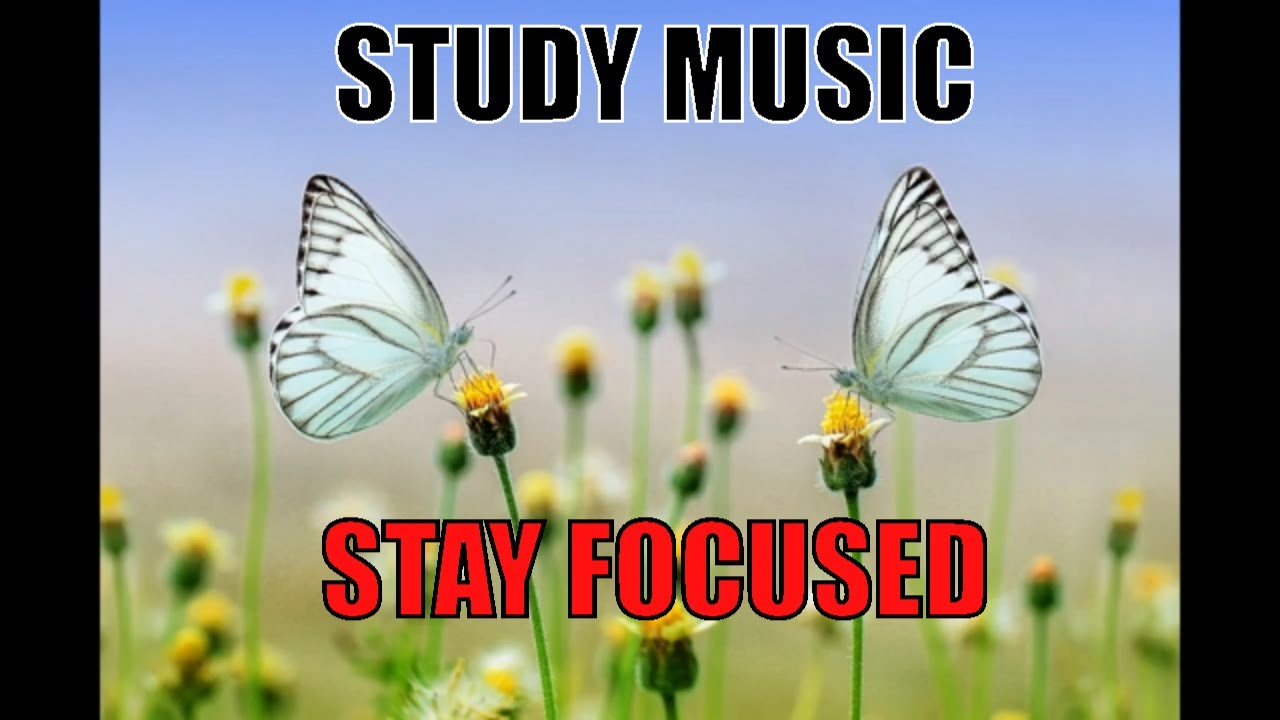 Study music to help you stay focused for longer! - YouTube