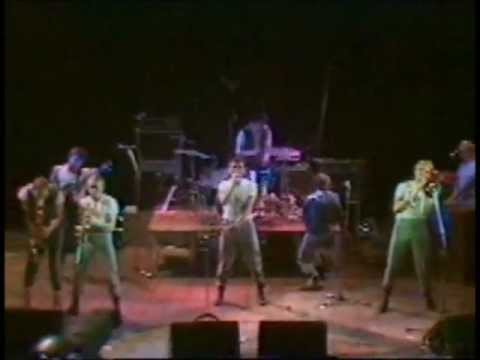Dexys Midnight Runners - Show Me/There There My Dear - Projected ...