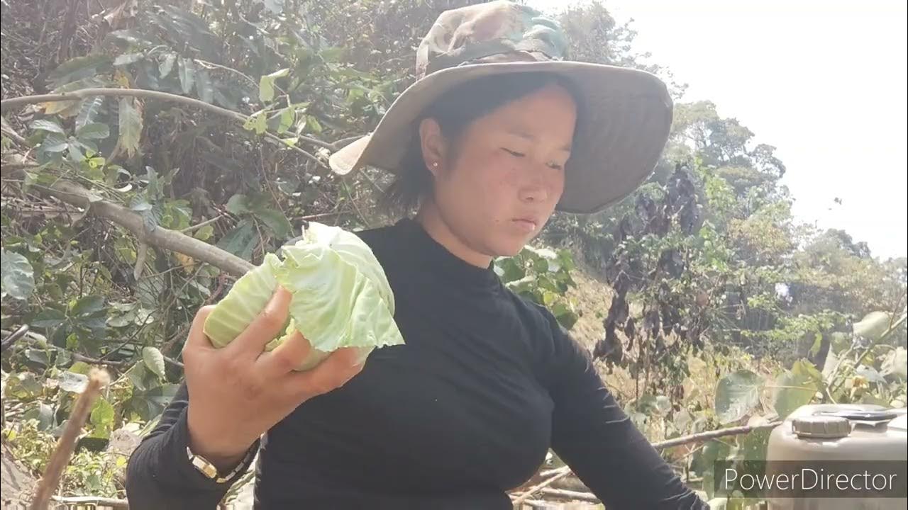 hnub no rov mus luaj teb txiv dua o nawb - YouTube