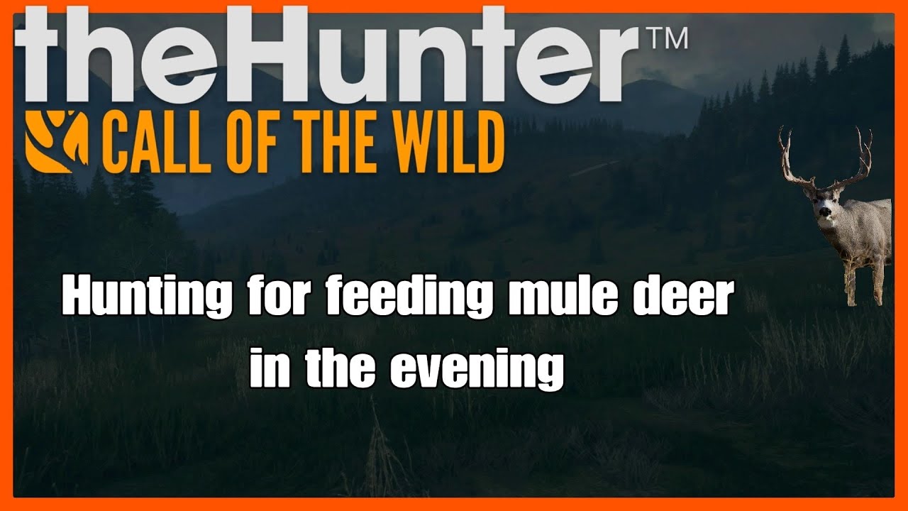 COTW PS4 | Hunting mule deer feeding at night on SRP - YouTube