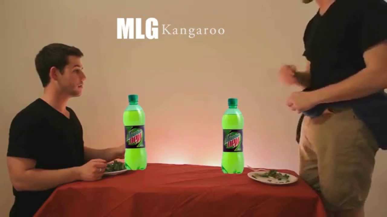How MLG Animals Eat their Food - YouTube
