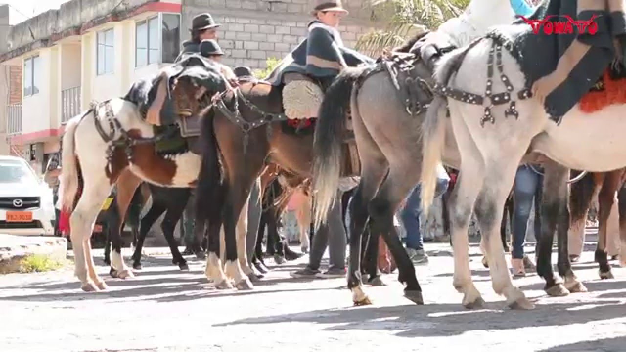 Towato en el Chagra Guagua 2016 (Machachi) - YouTube