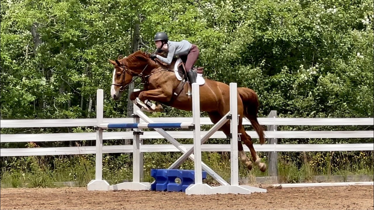 Leipzig NSN Jumping Oxer - YouTube