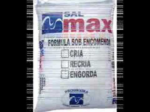 SalMax-Nutrição animal, sal mineral, sal,presidente prudente - YouTube